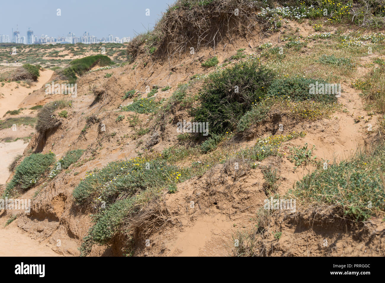 At Sharon Beach National Park, Sharon area, Israel Stock Photo - Alamy