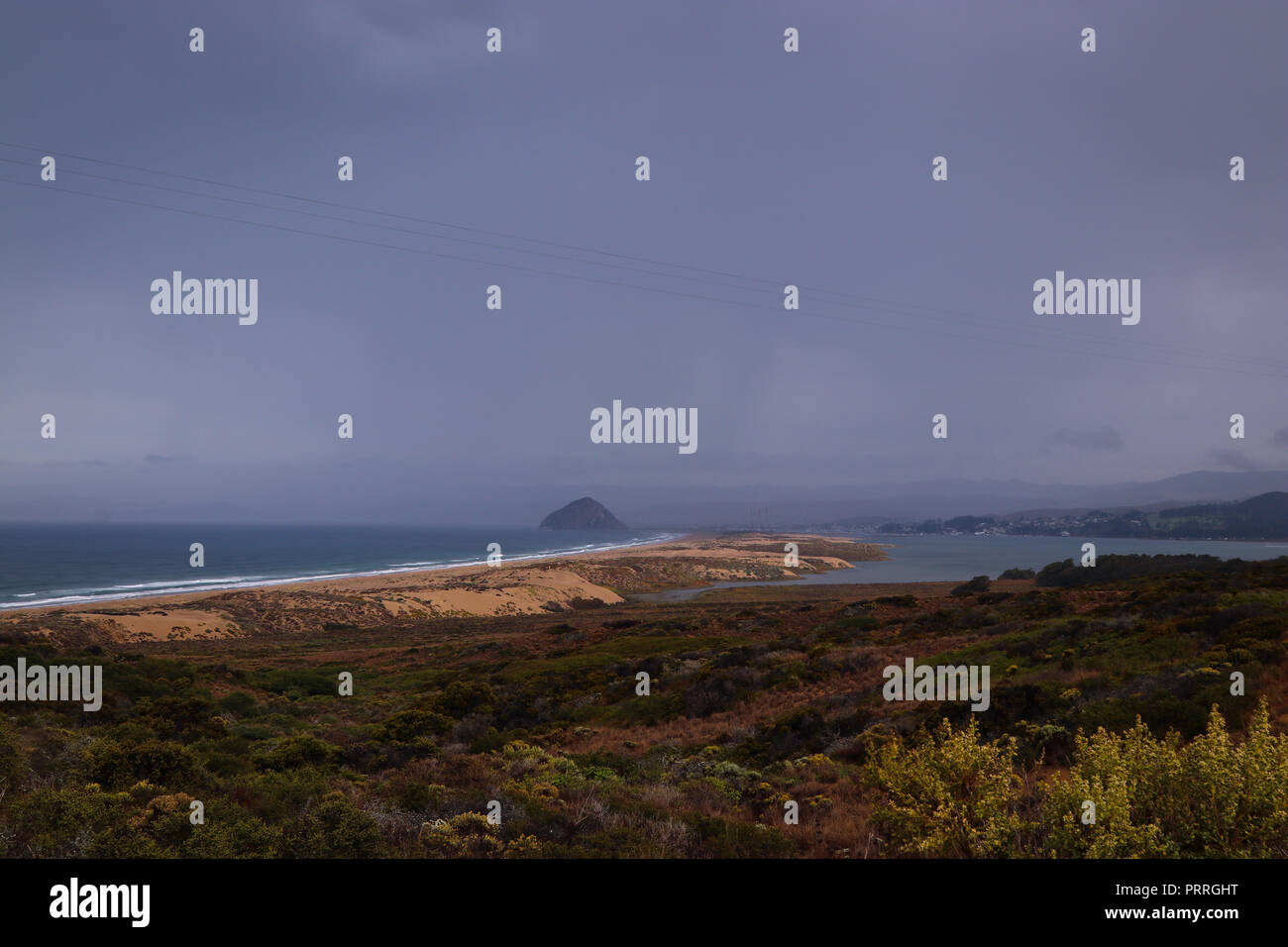 Fall rain at Montana Dé Oro California state nature preserve Stock ...