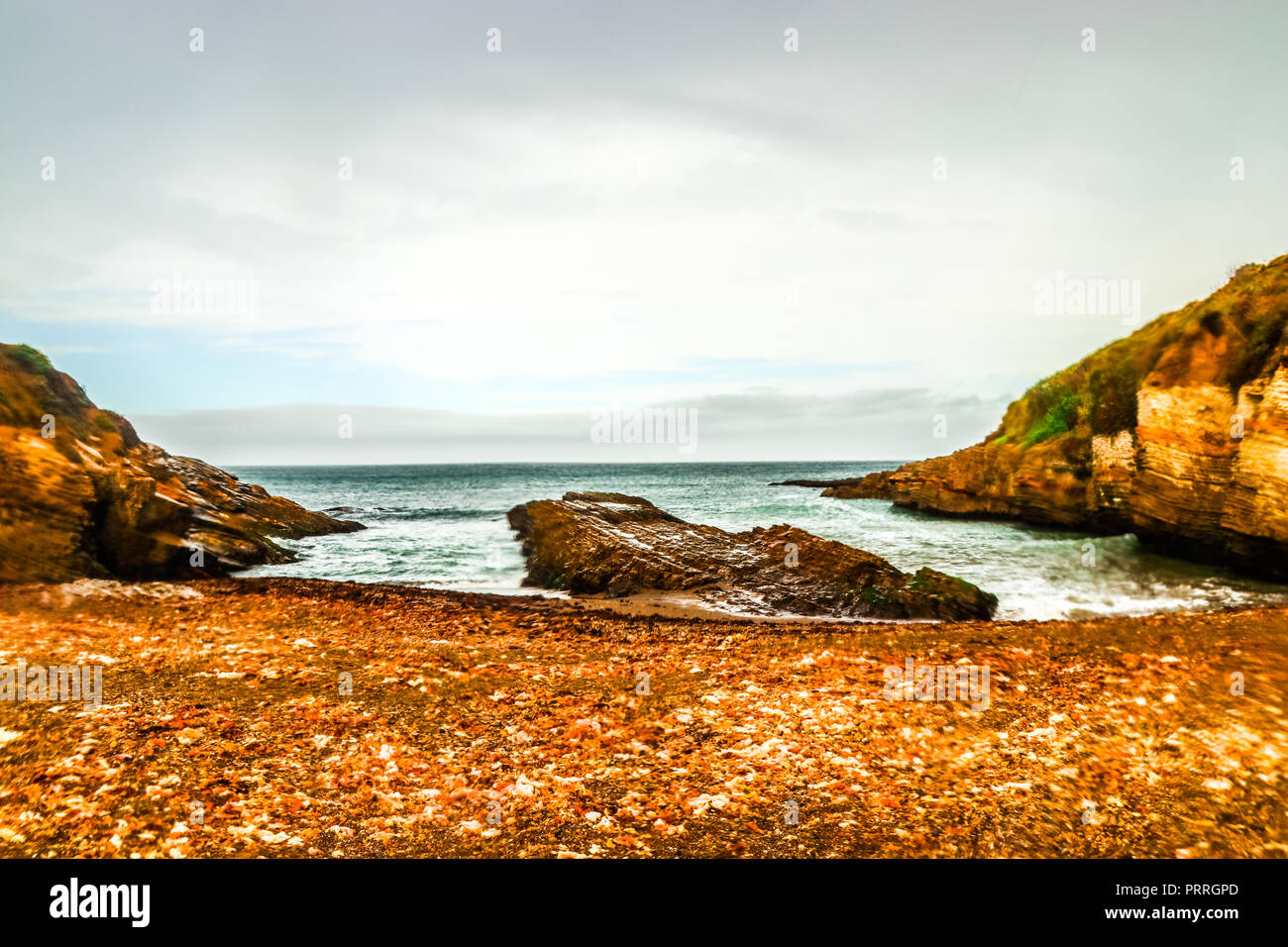 Fall rain at Montana Dé Oro California state nature preserve Stock ...