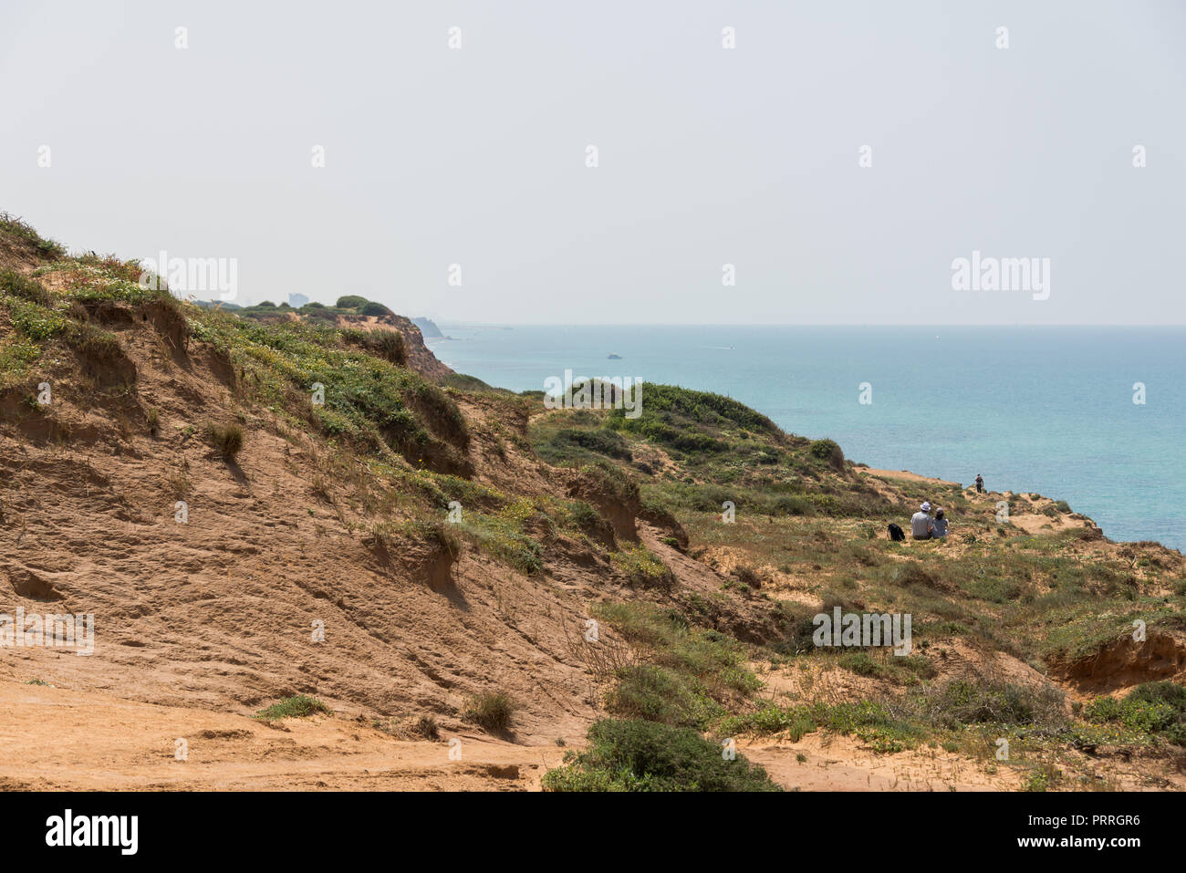 Hasharon park hi-res stock photography and images - Alamy