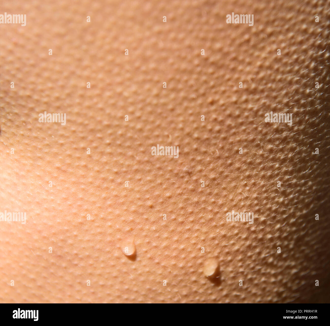 Goosebumps close up hi-res stock photography and images - Alamy