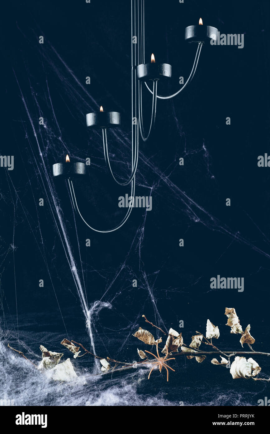 dry branch in spider web in darkness with candles Stock Photo - Alamy