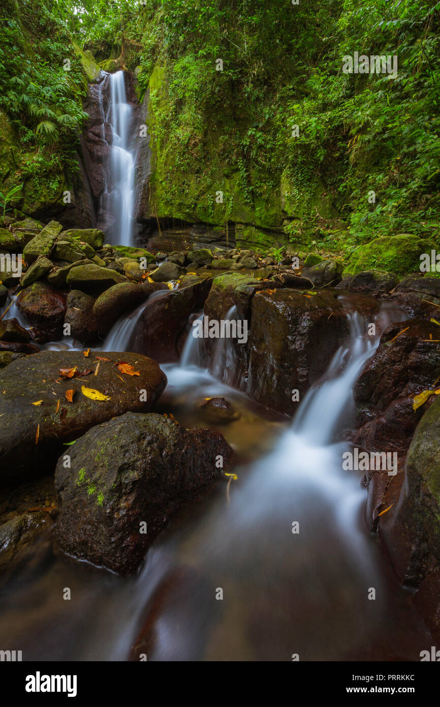 Amazon rainforest landscape waterfall hi-res stock photography and ...
