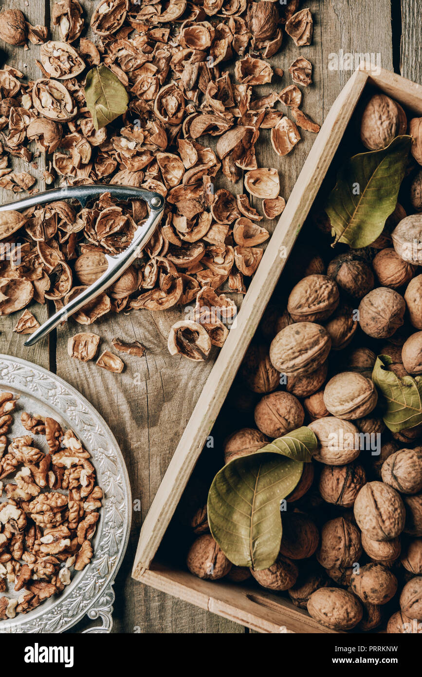 Nutshells hi-res stock photography and images - Alamy