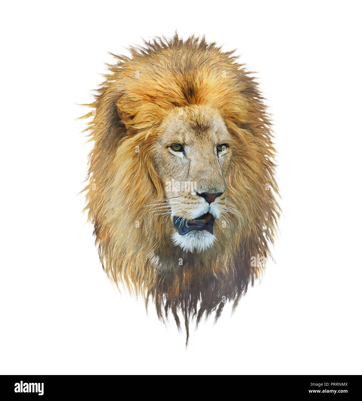 Lion Watercolor Painting