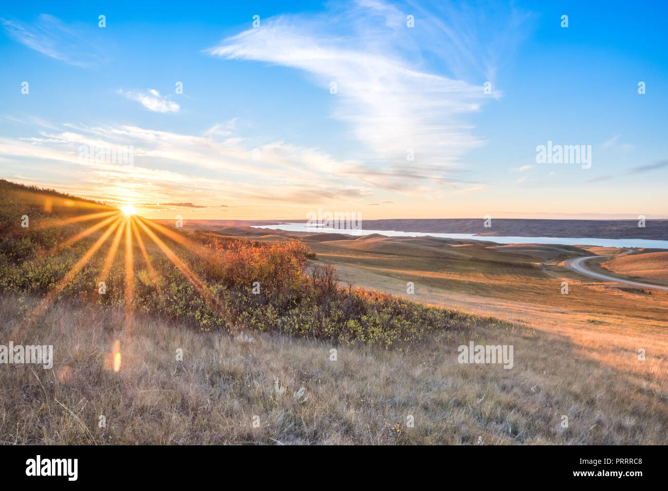 Sunset over autumn leaves on a hillside overlooking Lake Diefenbaker in ...