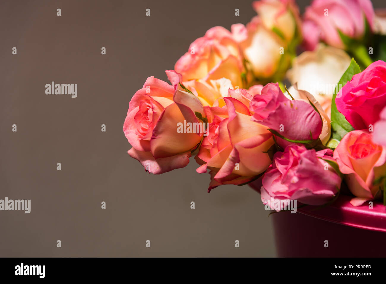 A bunch of colorful roses hi-res stock photography and images - Alamy