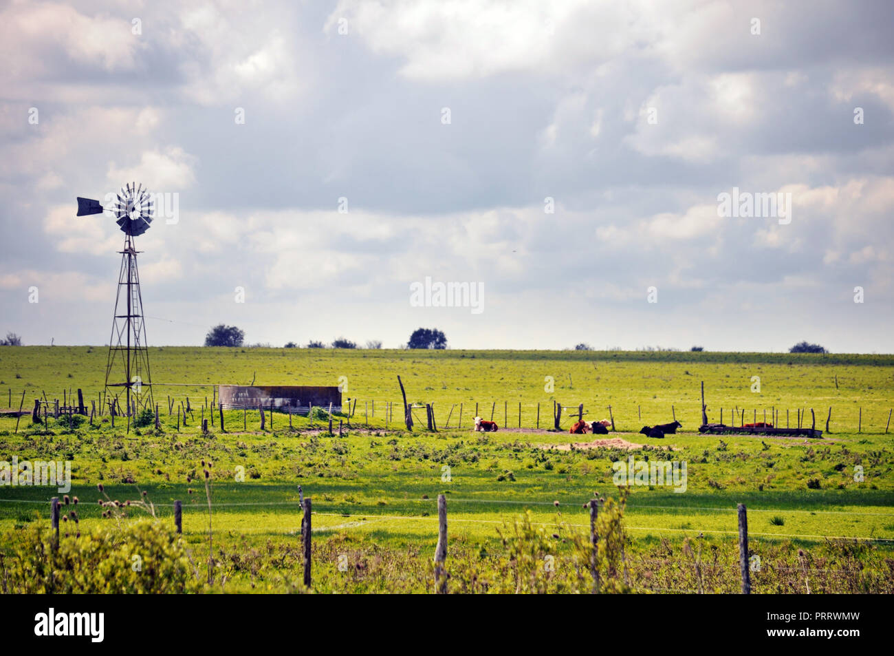 Windmill countryside argentina hi-res stock photography and images - Alamy