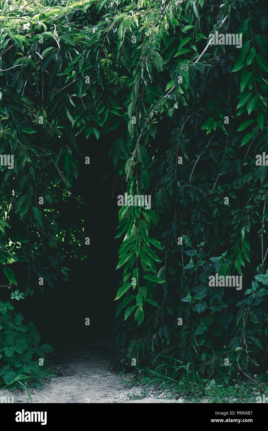 Over pathway hi-res stock photography and images - Alamy