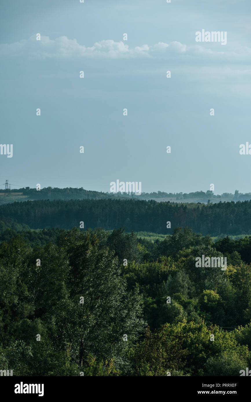 aerial view of green forest and sky in autumn Stock Photo - Alamy