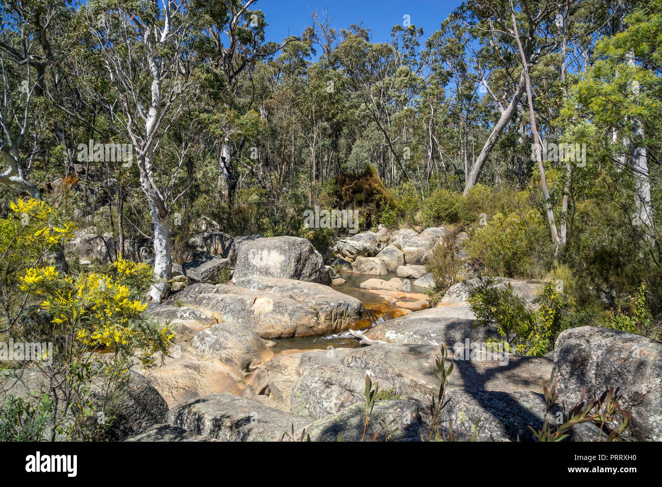Gibraltar Creek above the waterfall in the Namadgi National Park, near ...