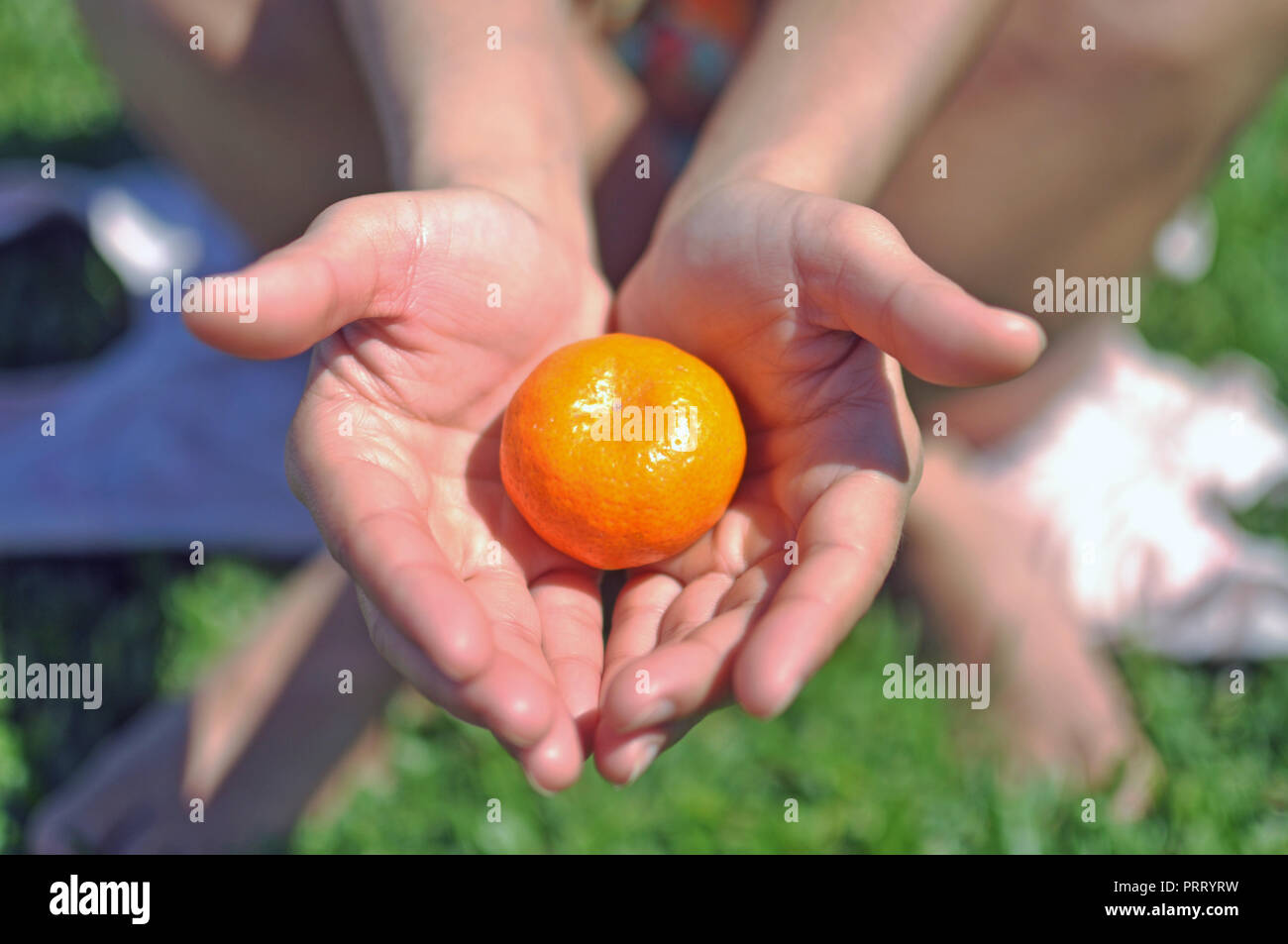 Holding orange mandarine hi-res stock photography and images - Alamy