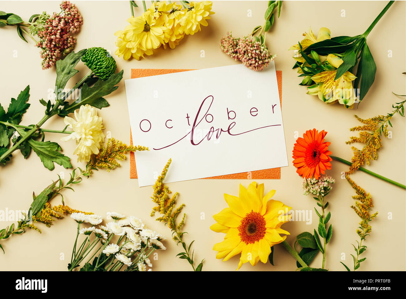 flat lay with wildflowers and cards with "october love" inspiration on ...