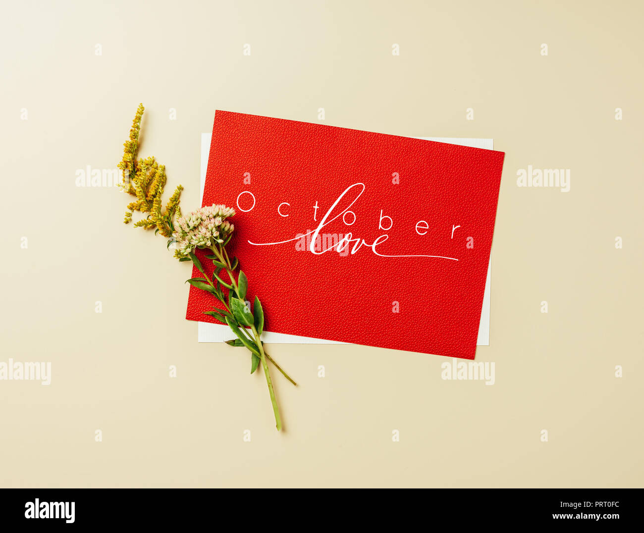 flat lay with of wildflowers and red card with "october love ...