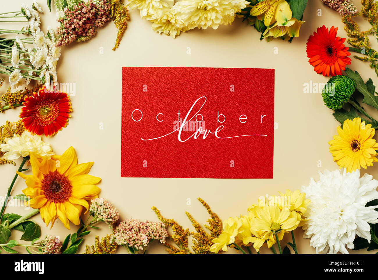 flat lay with various beautiful flowers and red card with "october love ...