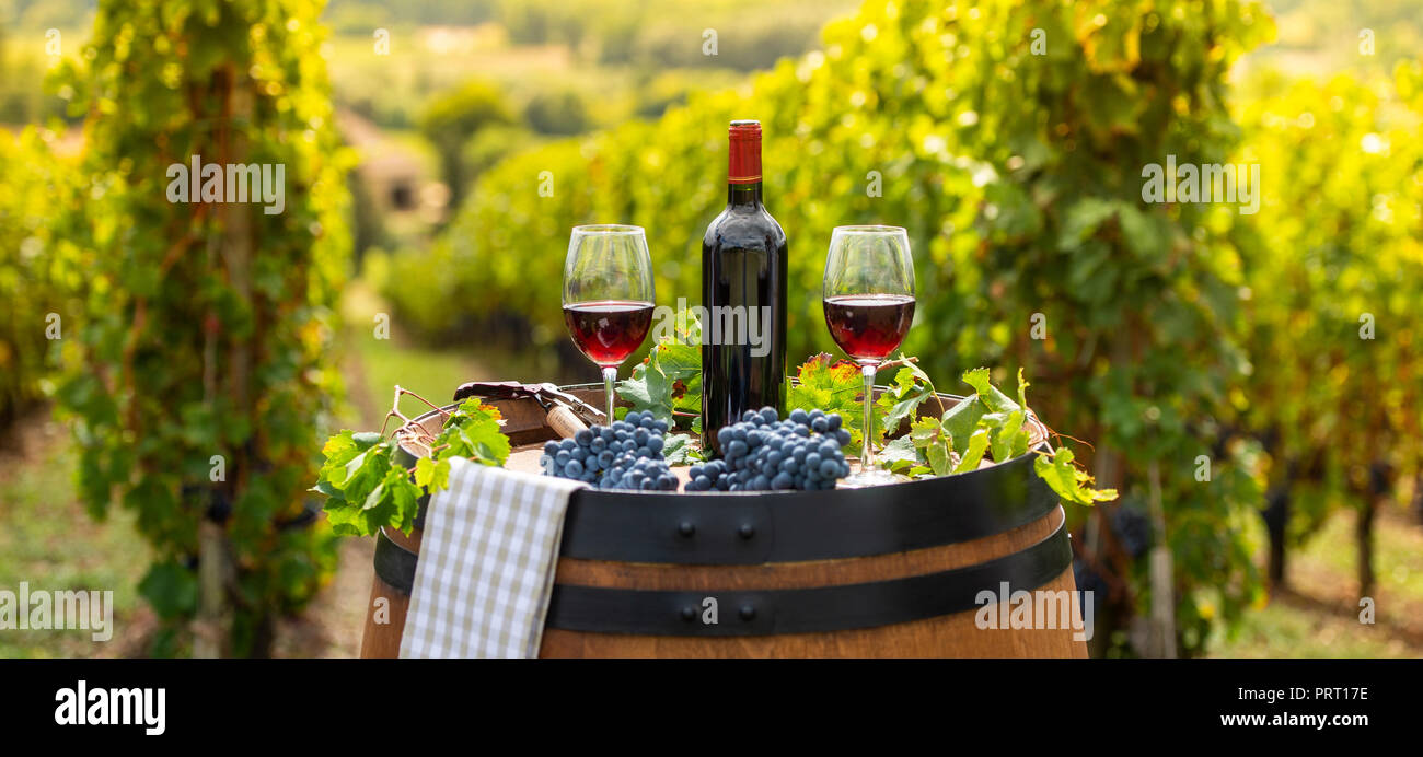Pouring red wine into the glass, Barrel outdoor in Bordeaux Vineyard ...