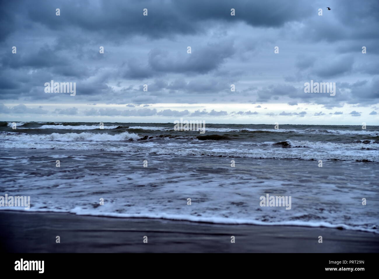 Ziba kenar beach, Caspian sea, Rasht, Gilan Province, Iran Stock Photo ...