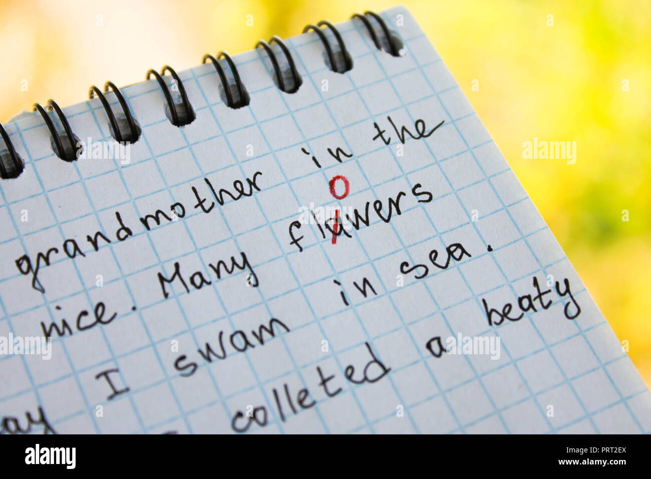 Red Correction Pen High Resolution Stock Photography and Images - Alamy