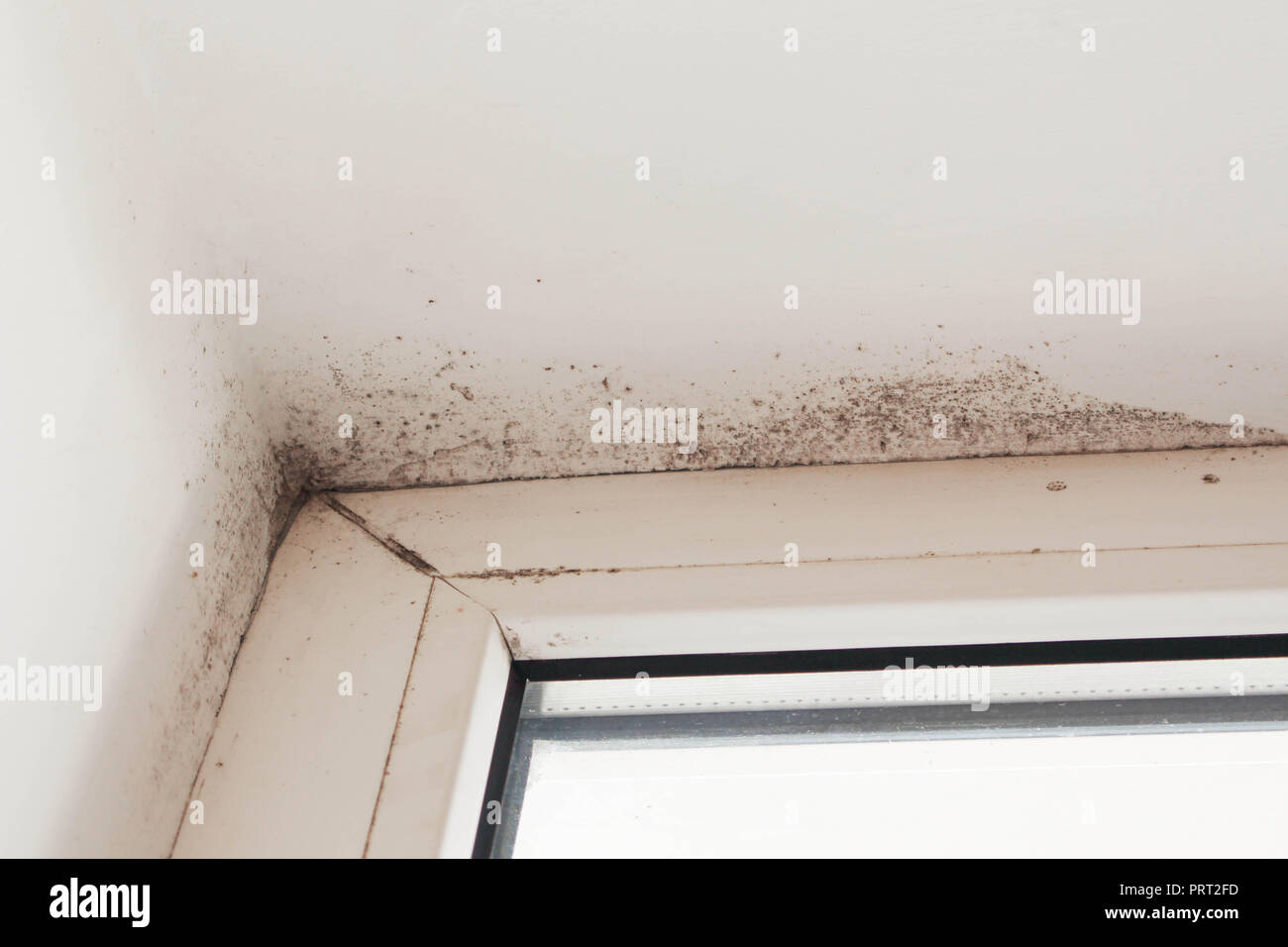 Mold near a window in the house Stock Photo - Alamy