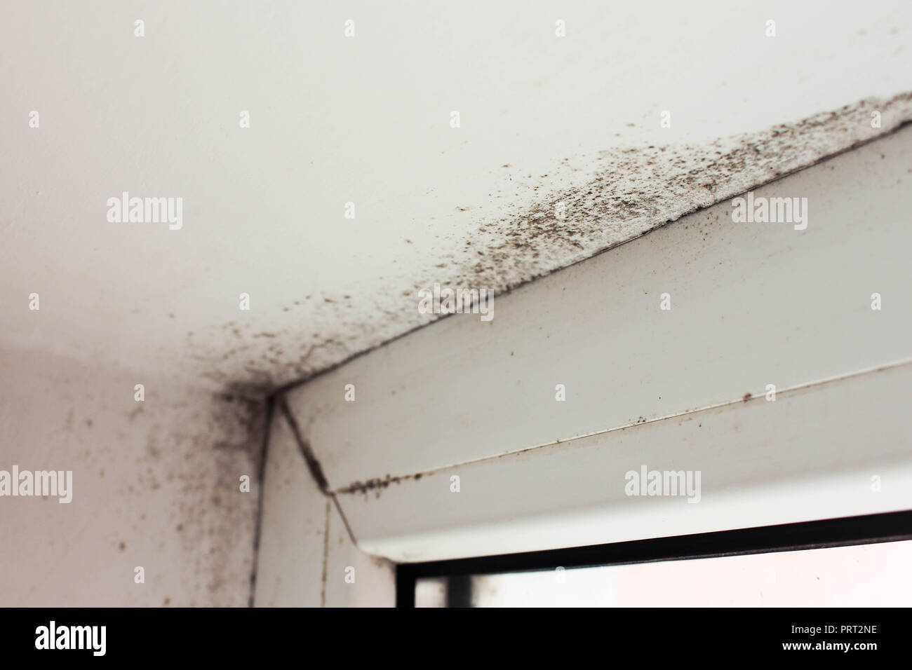 Mold near a window in the house Stock Photo - Alamy