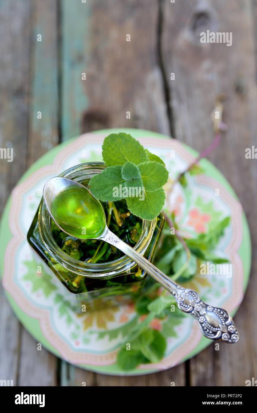 Homemade mint jam with mint sprig Stock Photo - Alamy