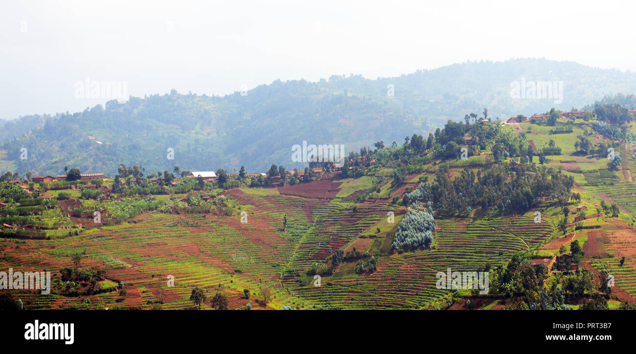 Rural landscapes in western Rwanda Stock Photo - Alamy