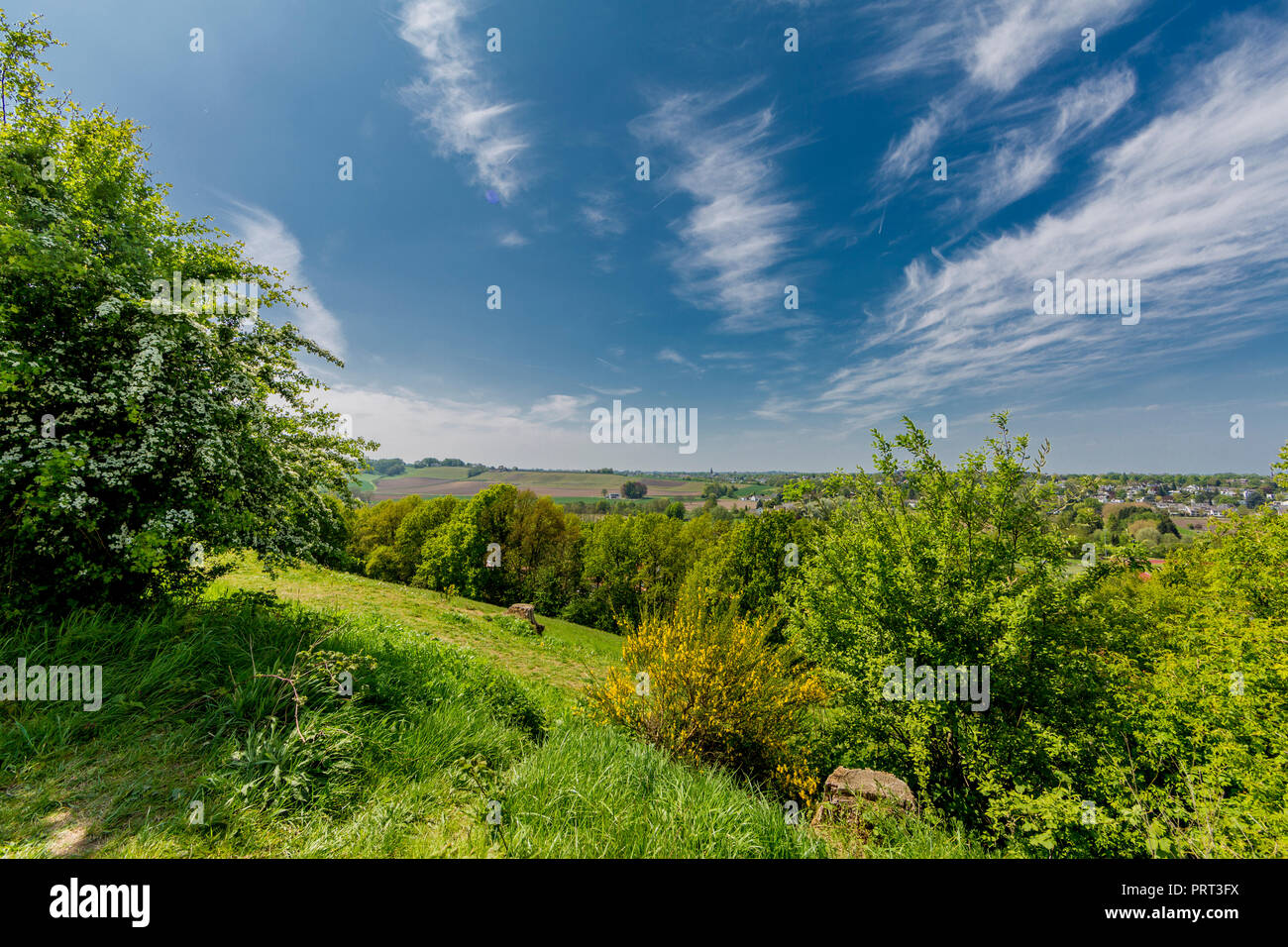 beautiful nature in Sint-Pietersberg in Maastricht South Limburg in the ...