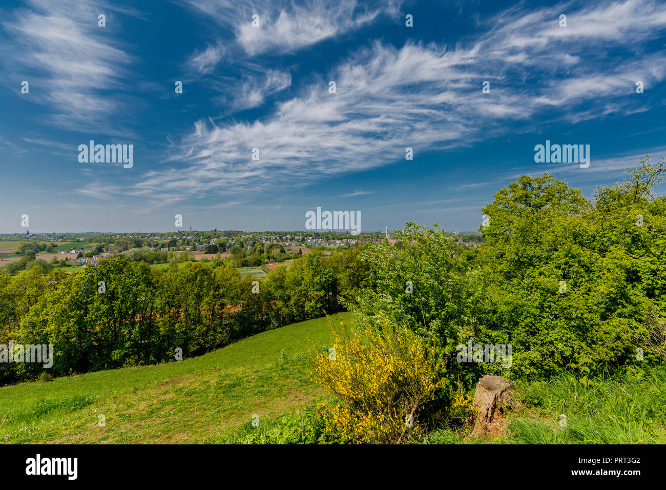 beautiful nature in Sint-Pietersberg in Maastricht South Limburg in the ...