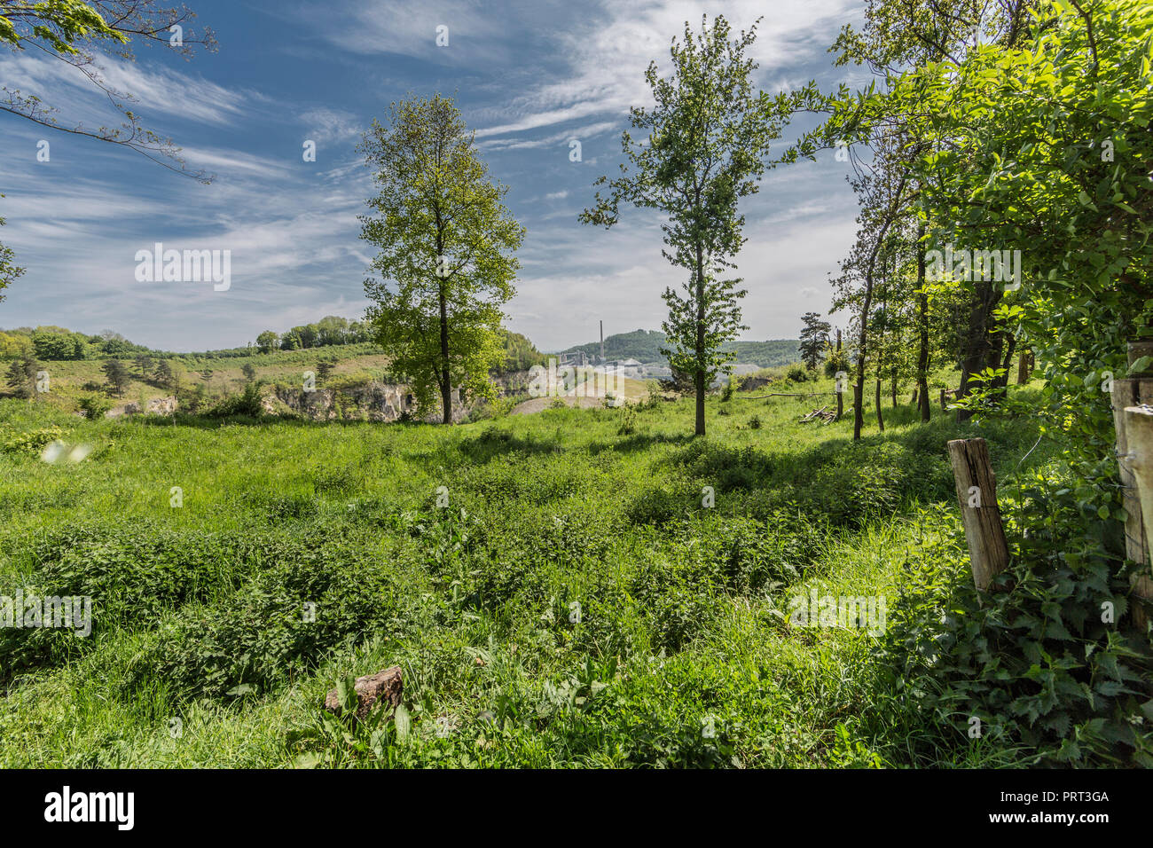 beautiful nature in Sint-Pietersberg in Maastricht South Limburg in the ...