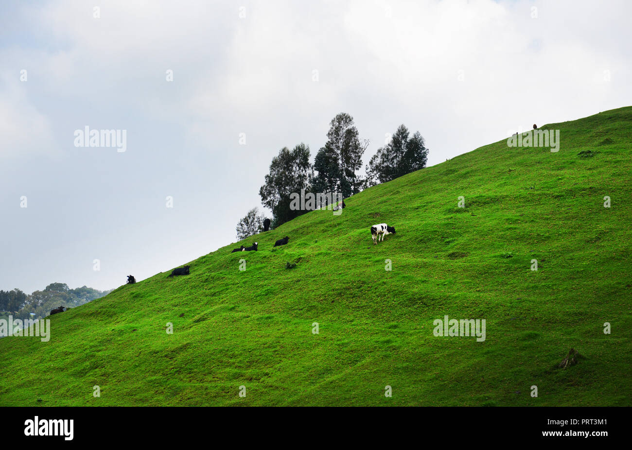 Rural landscapes in western Rwanda Stock Photo - Alamy