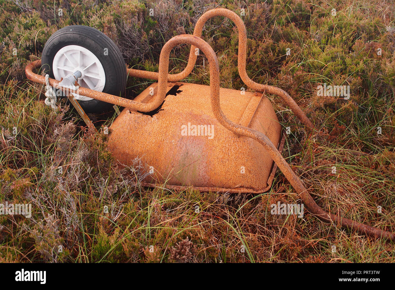 An image of an upturned rusty worn out wheelbarrow laying in wild ...