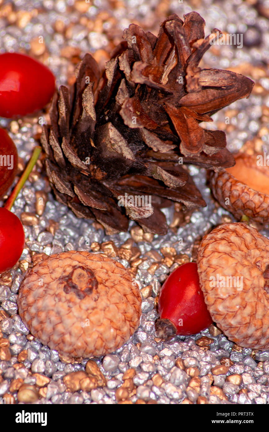 Coxis hi-res stock photography and images - Alamy