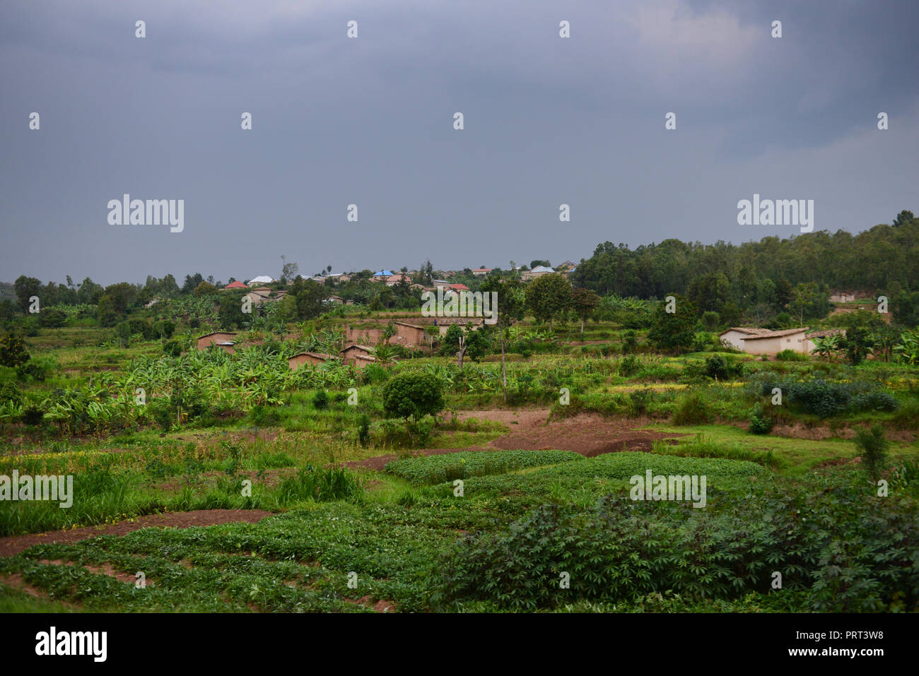 Agriculture rwanda hi-res stock photography and images - Alamy