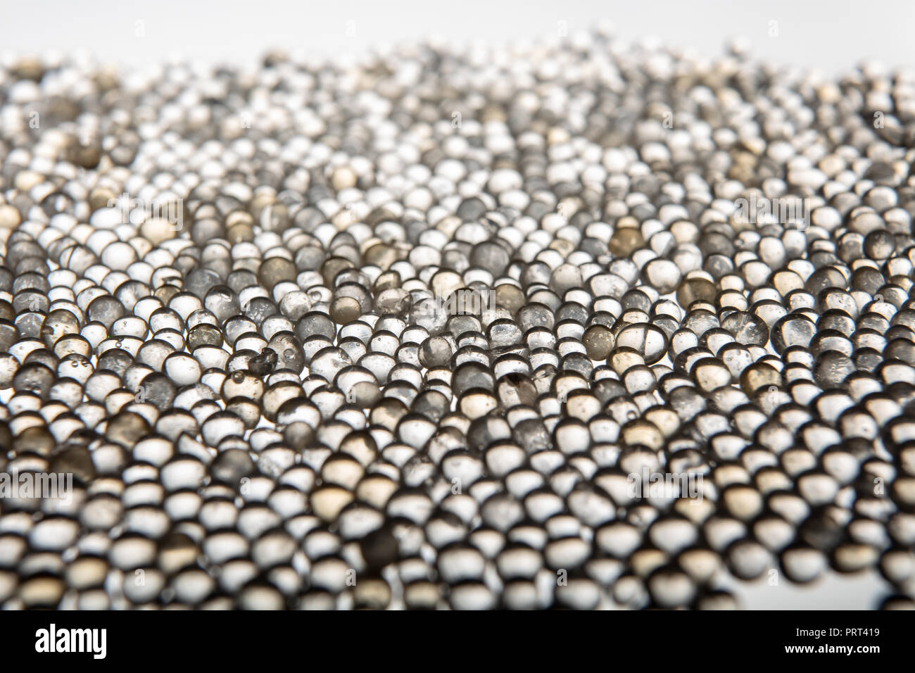 Porous mold hi-res stock photography and images - Alamy