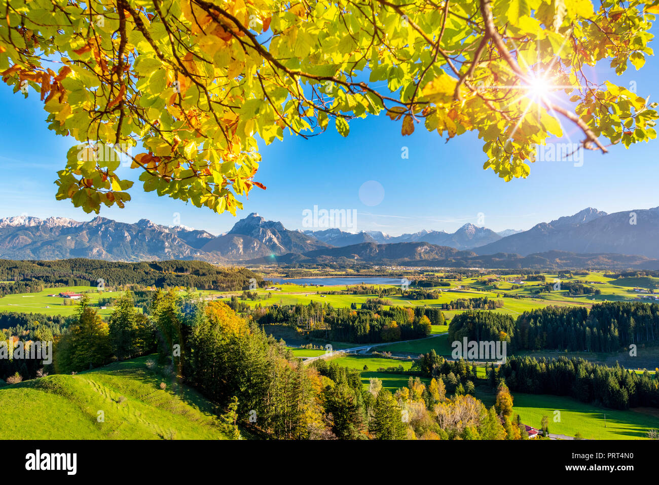 Agriculture in autumn bavaria hi-res stock photography and images - Alamy