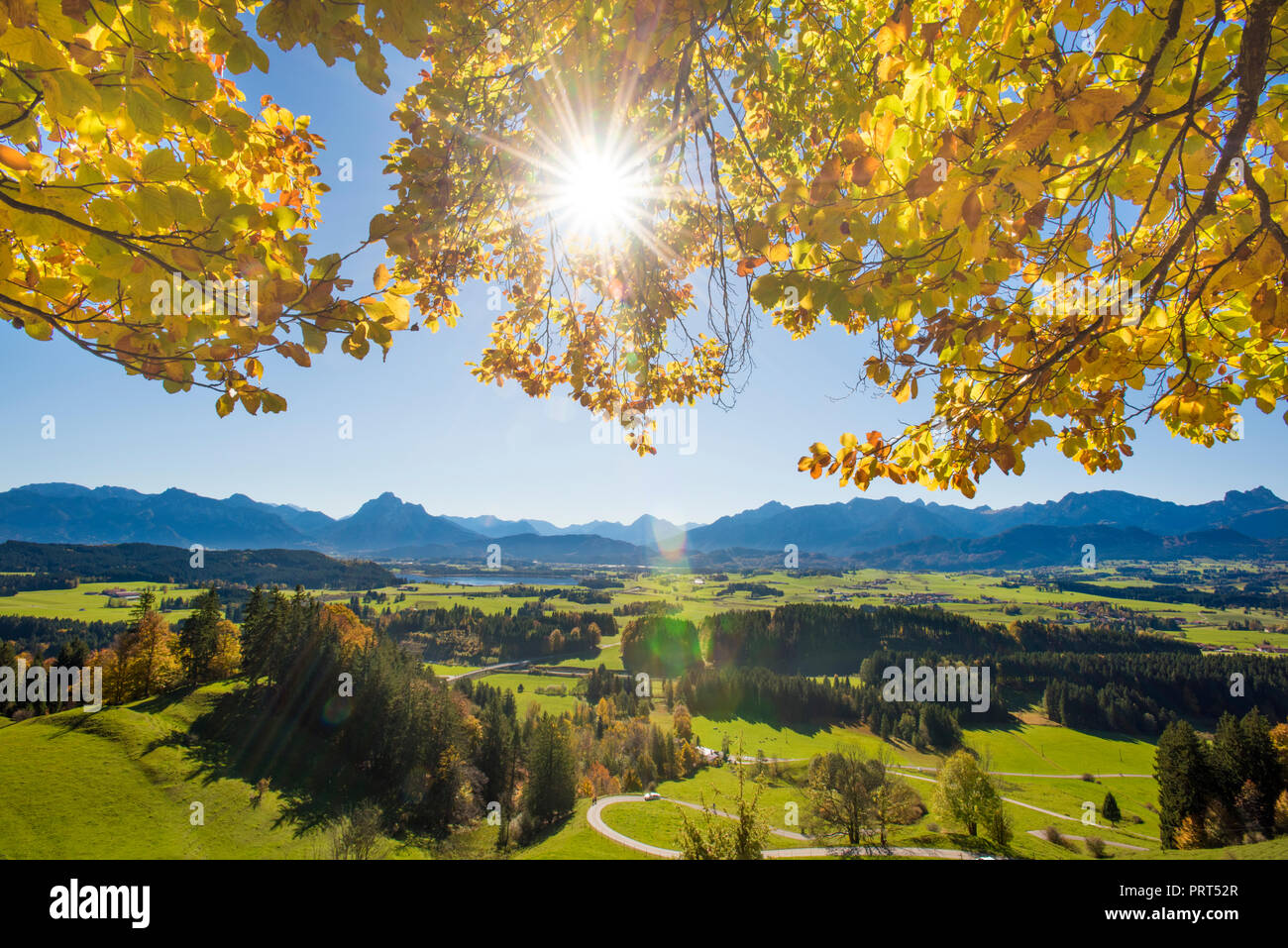 Agriculture in autumn bavaria hi-res stock photography and images - Alamy