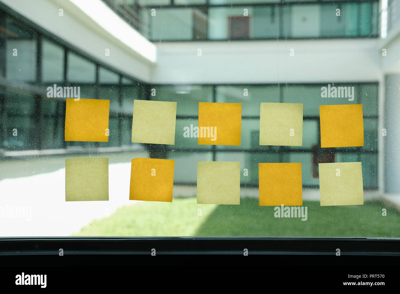 adhesive notes on glass wall at workplace. Sticky note paper reminder ...