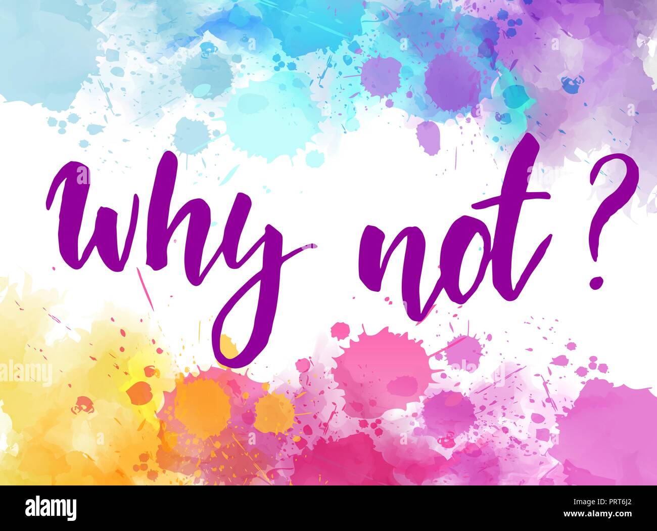 Why not? - inspirational handwritten modern calligraphy message on ...