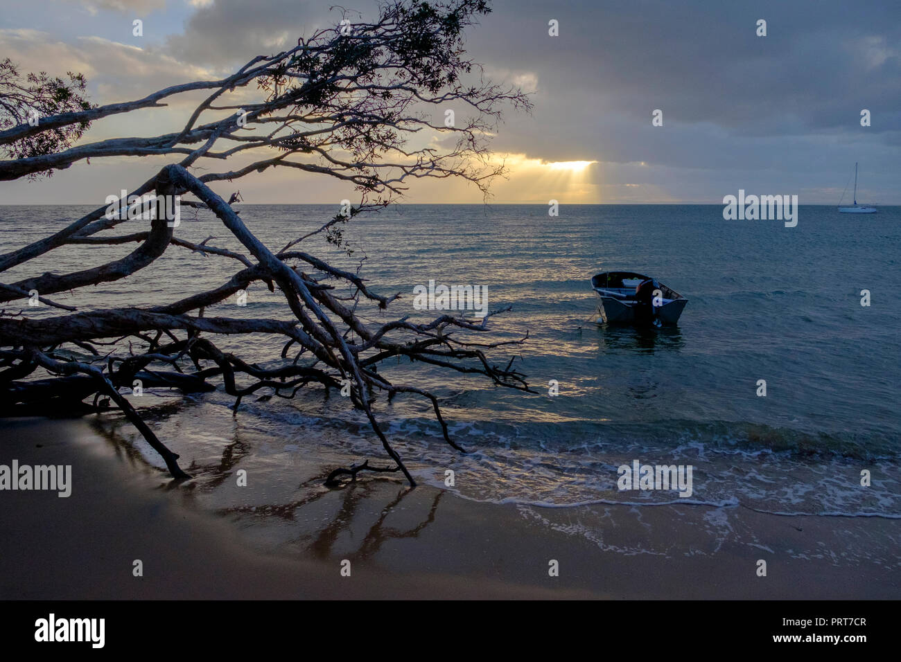 On the beachfront at Amity Point Stock Photo - Alamy