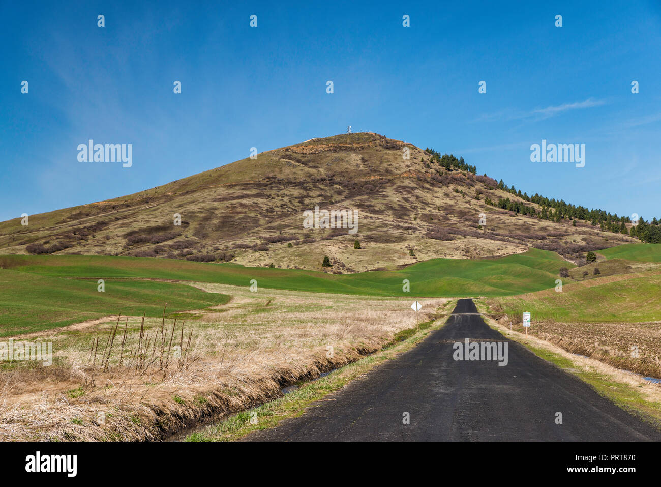Steptoe Butte, quartzite island in The Palouse area, Columbia Plateau ...