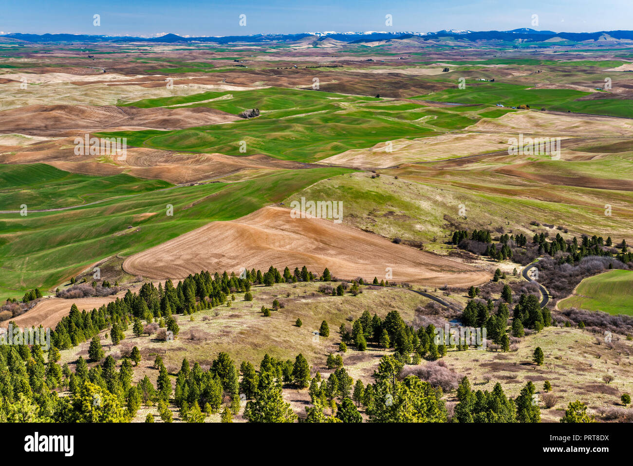 Agricultural fields in The Palouse hills, view in early spring from ...