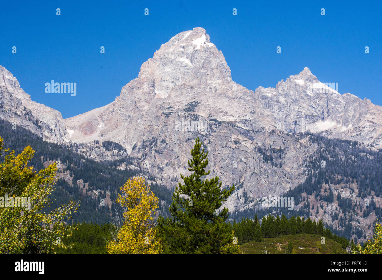 Scenery near Tracy lake, Grand tetons Nat'l Park Stock Photo - Alamy