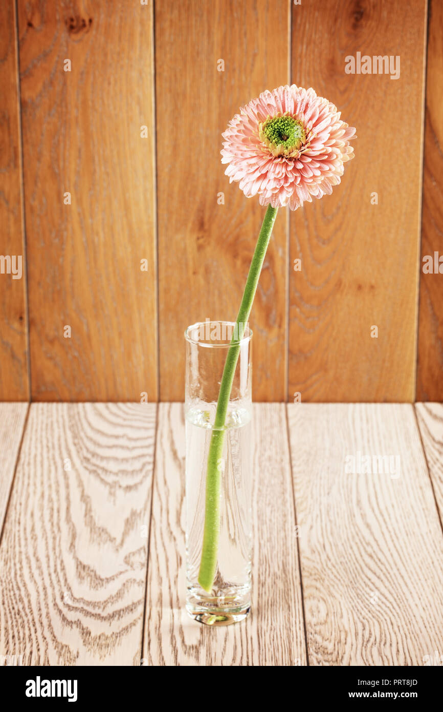 pink gerbera daisy flower in vase on wooden background Stock Photo - Alamy