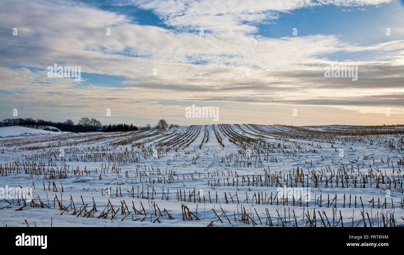 Snow in the fields hi-res stock photography and images - Alamy