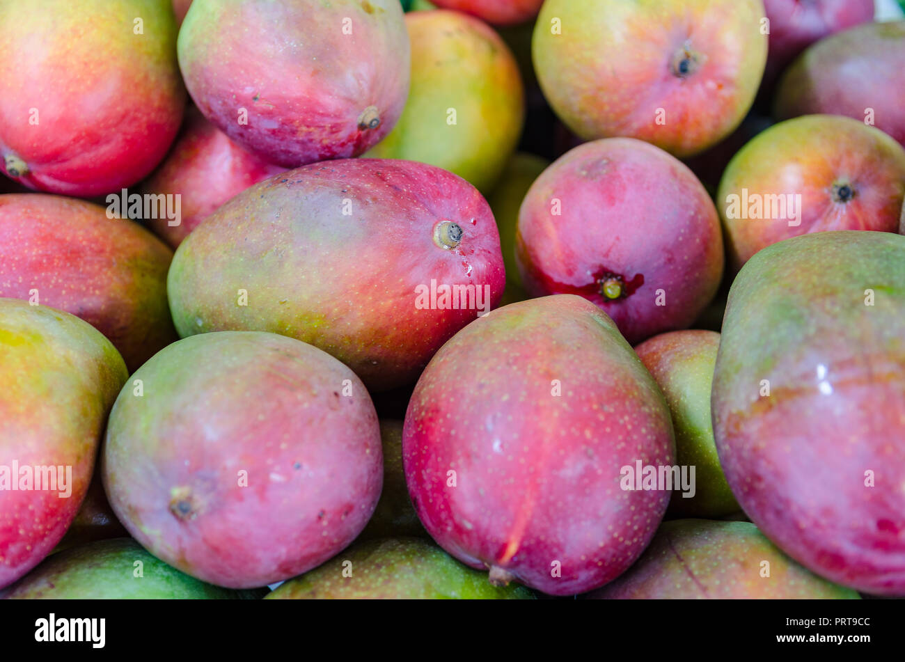 a bunch of fresh ripe mango fruits Stock Photo - Alamy
