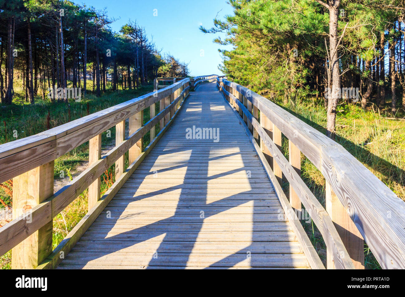 Boardwalk through the Newborough forest, Anglesey, Wales, United ...