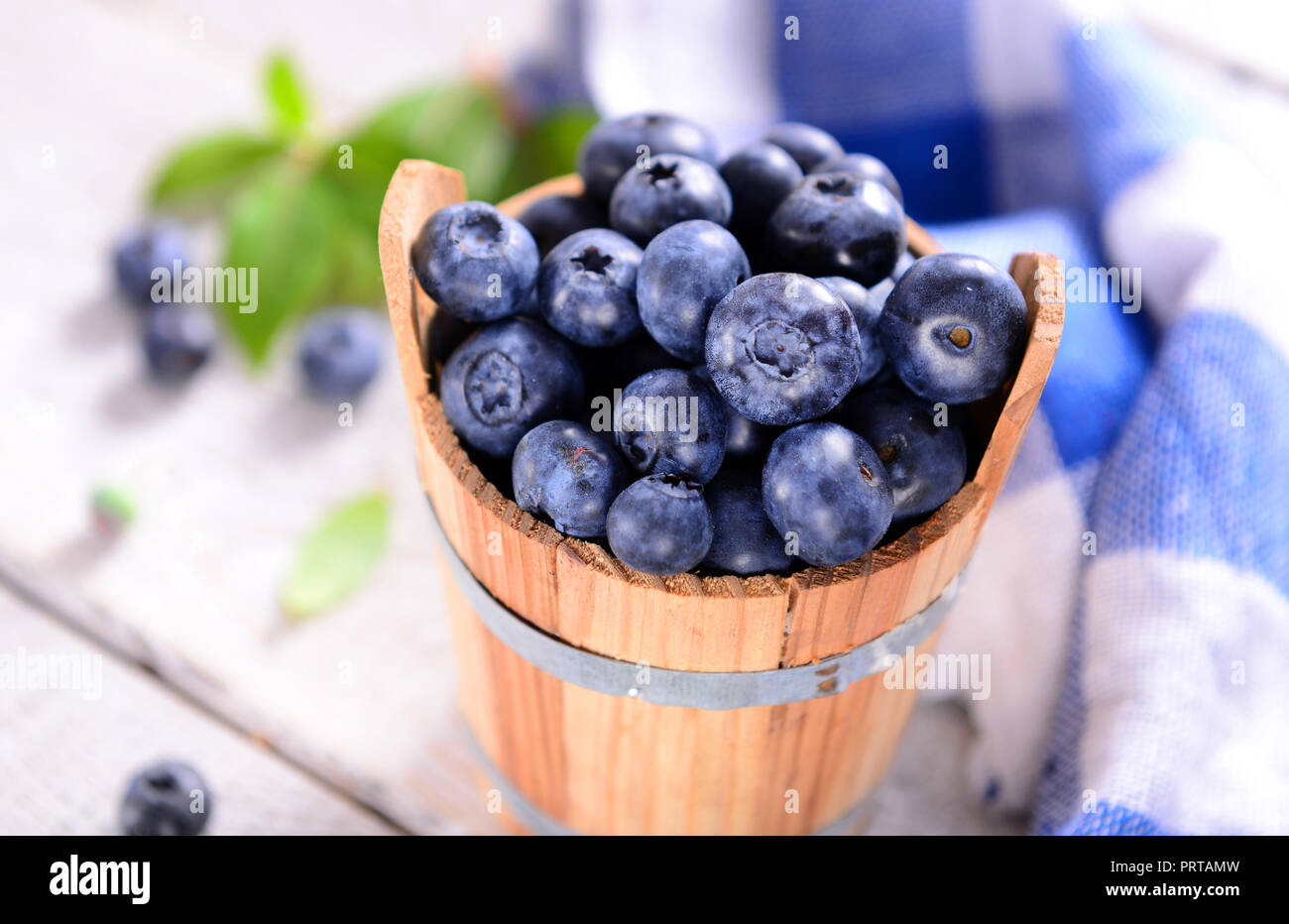 Freshly picked blueberries Stock Photo - Alamy