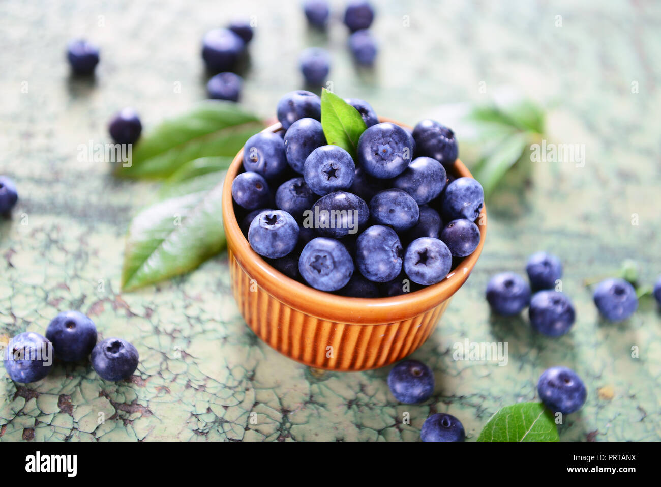 Freshly picked blueberries Stock Photo - Alamy