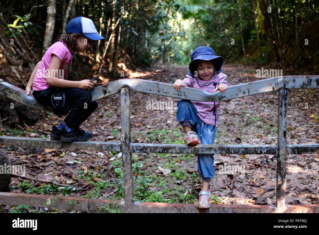 School aged children climbing over a gate, Misty Mountains wilderness ...