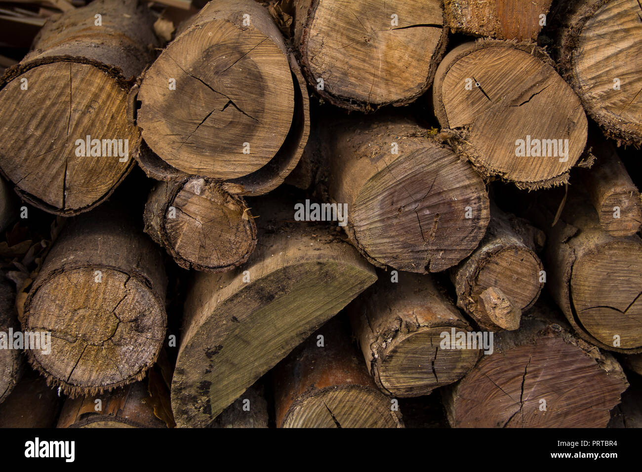 Trunk joints hi-res stock photography and images - Alamy